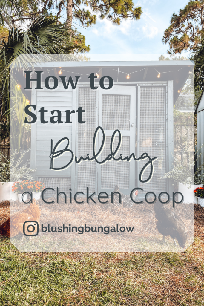 How to Start Building a Chicken Coop - Blushing Bungalow | So Cute You ...