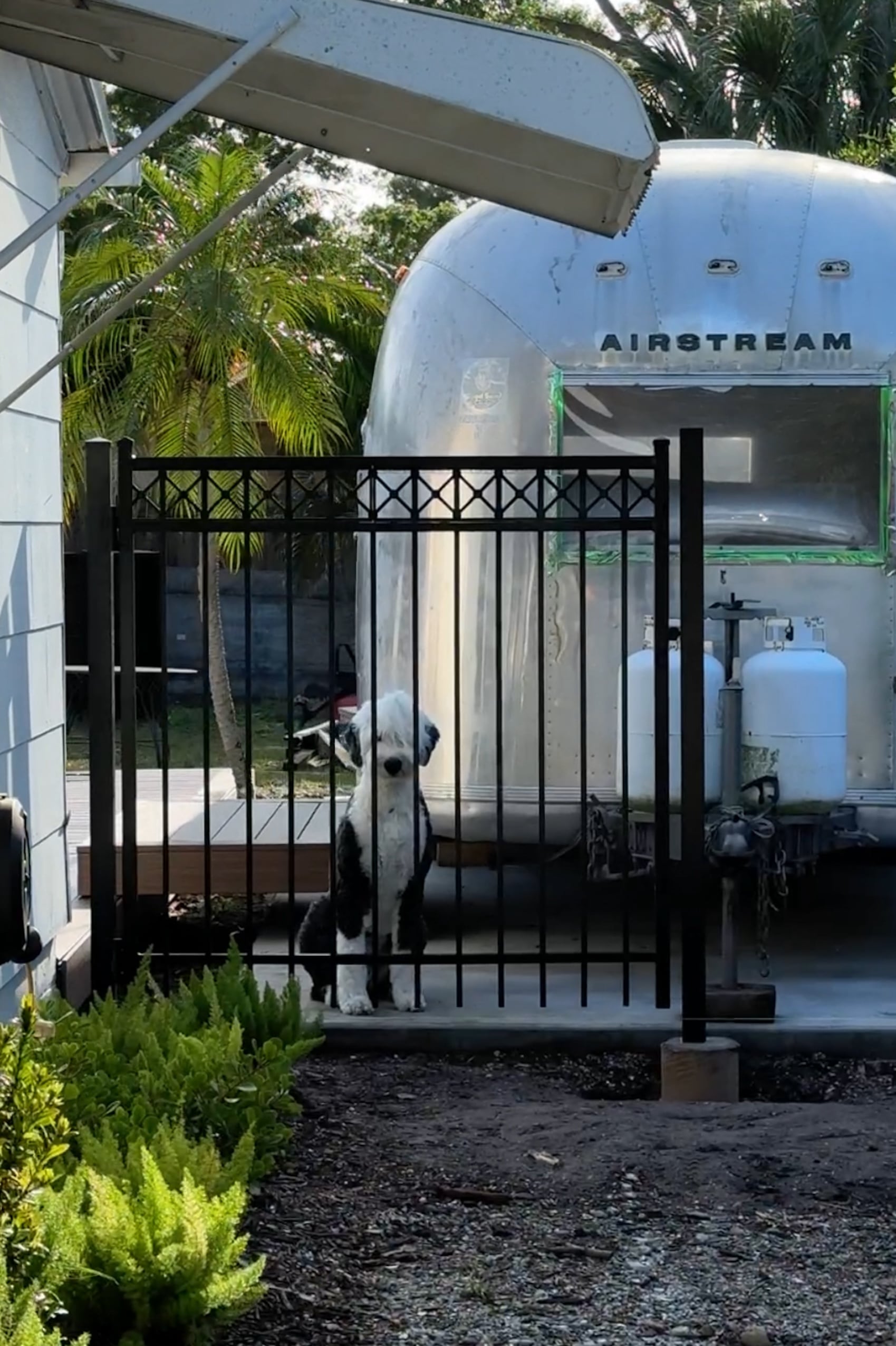 How to Make a Removable Fence - Blushing Bungalow | So Cute You'll Blush ☺️